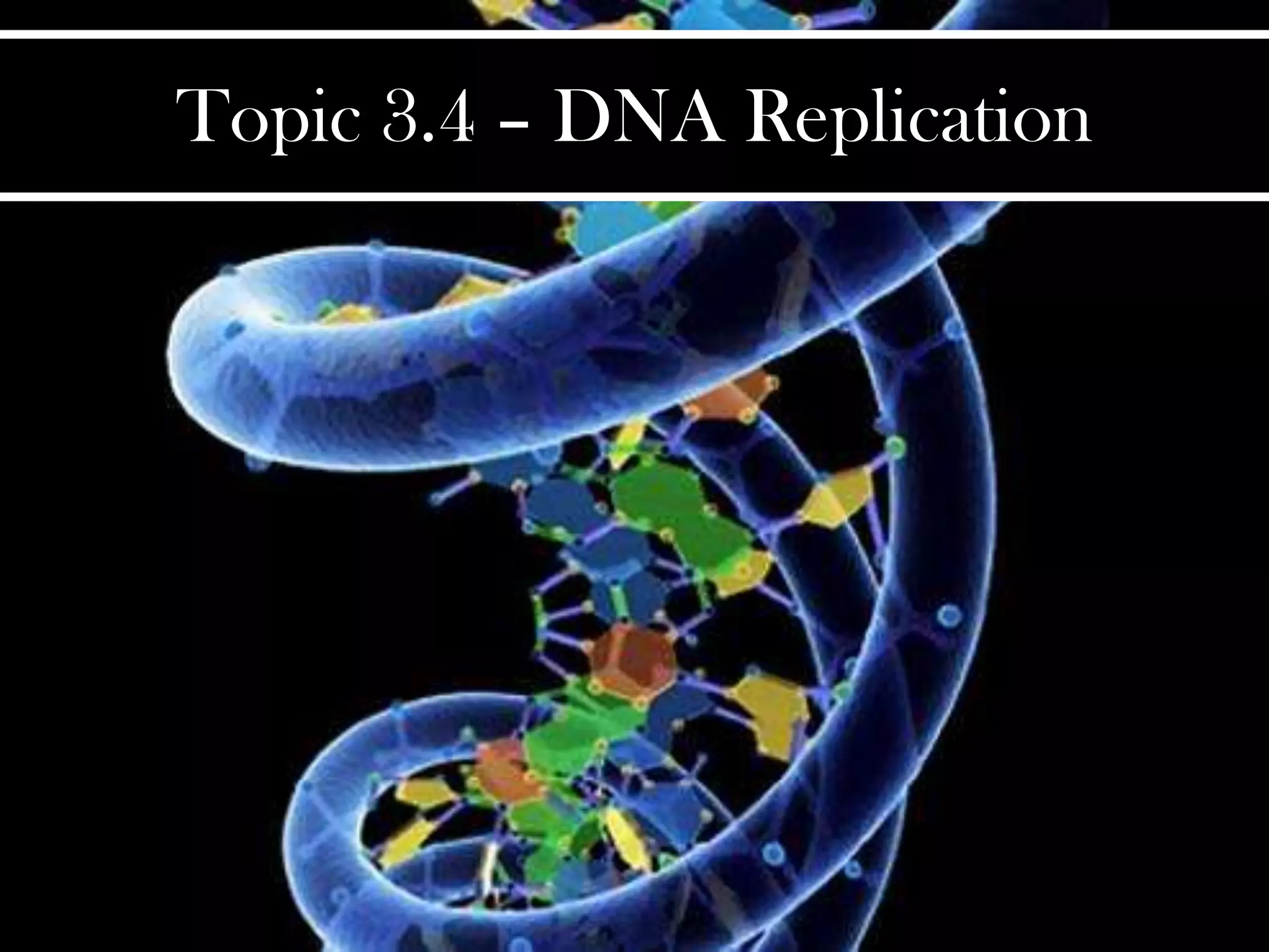 03.4 biochemistry - dna replication | PPTX