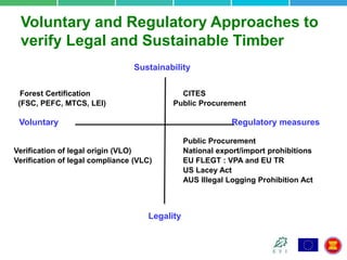 03. alex hinrichs international activities | PPTX