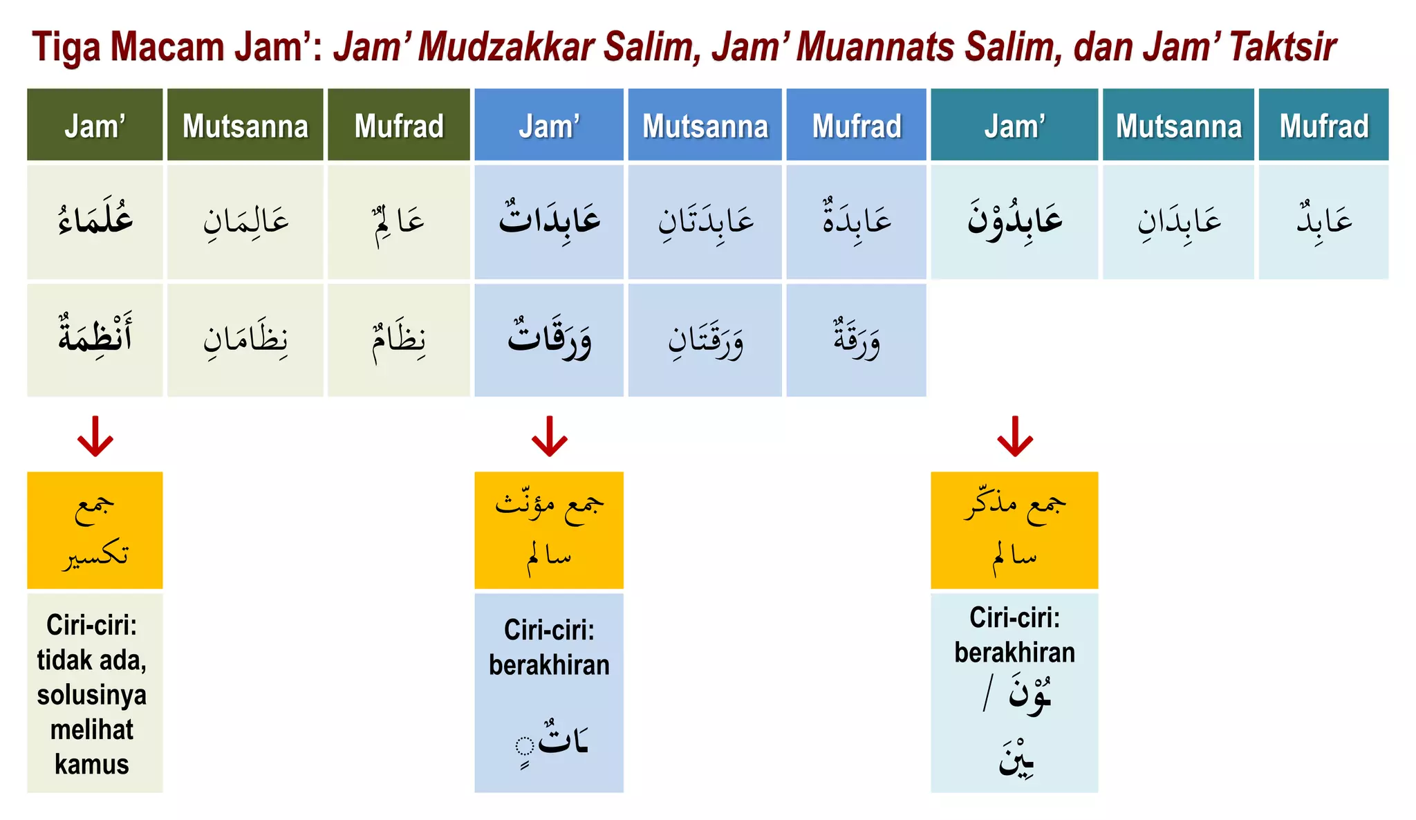 Isim dari segi jumlah [mufrad, mutsanna, dan jam ] | PPTX