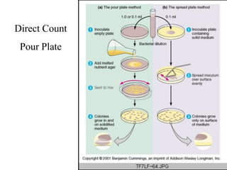 Mikrobiologi - pertumbuhan mikroba