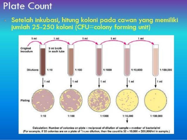 Mikrobiologi - pertumbuhan mikroba