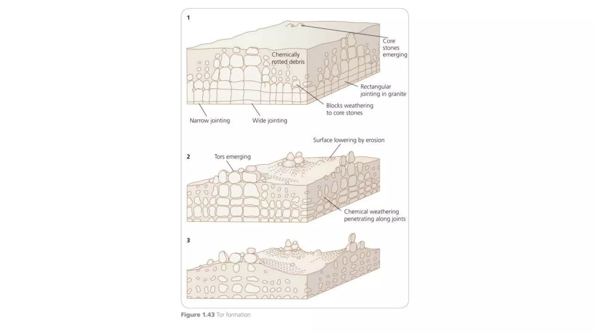 CAMBRIDGE GEOGRAPHY A2 REVISION - TROPICAL ENVIRONMENTS: TROPICAL ...