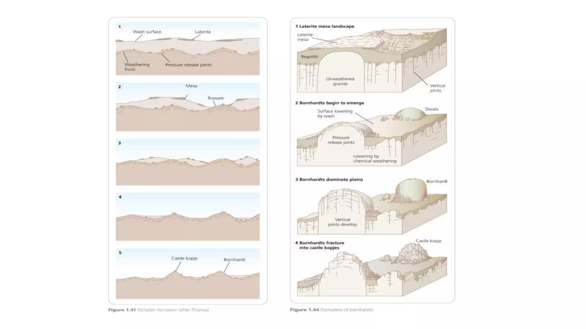 CAMBRIDGE GEOGRAPHY A2 REVISION - TROPICAL ENVIRONMENTS: TROPICAL ...
