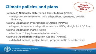 Creating an enabling environment for CSA implementation | PPT