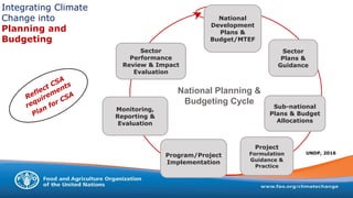 Creating an enabling environment for CSA implementation | PPT | Free Download
