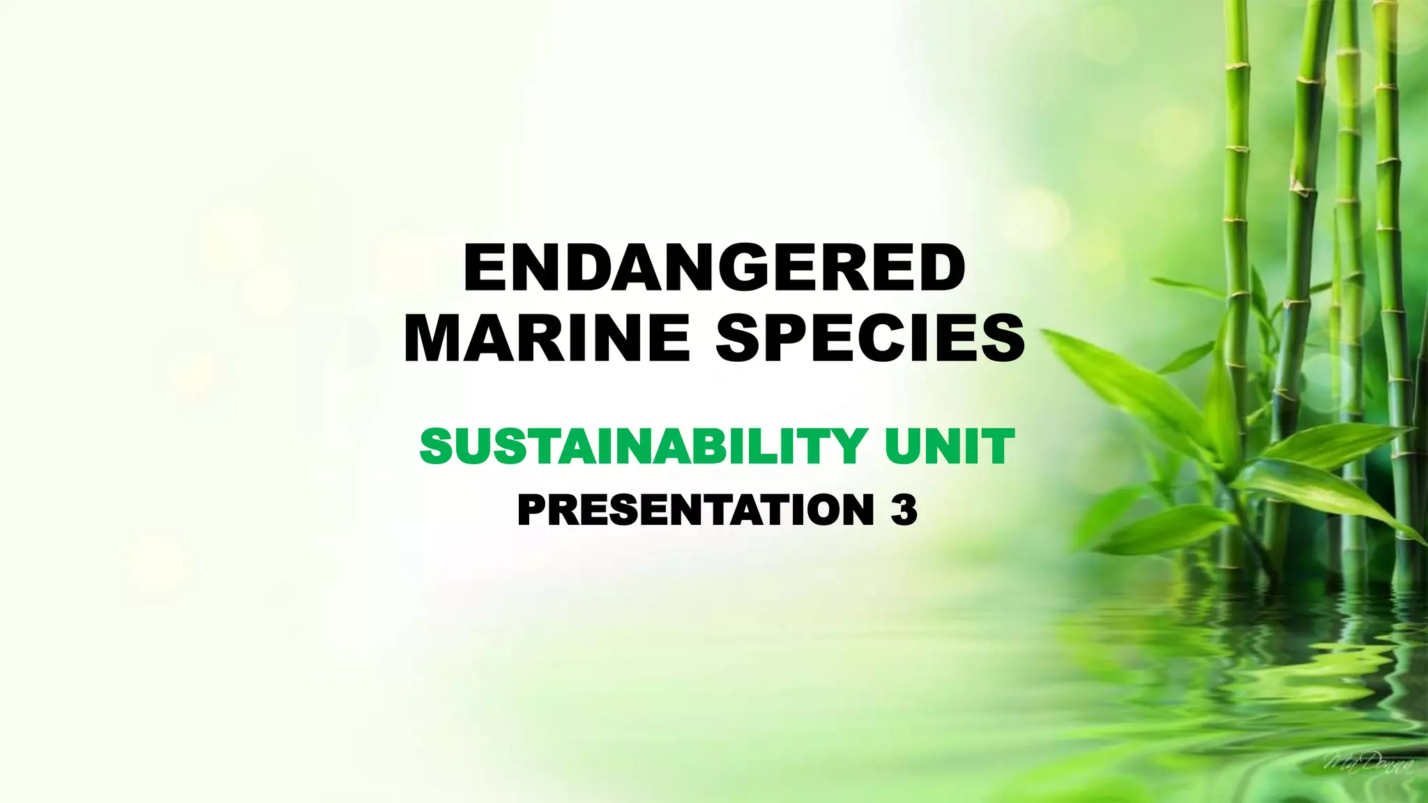 SUSTAINABILITY: ENDANGERED MARINE SPECIES | PPT