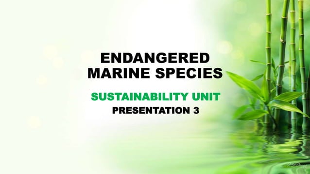 SUSTAINABILITY: ENDANGERED MARINE SPECIES | PPT