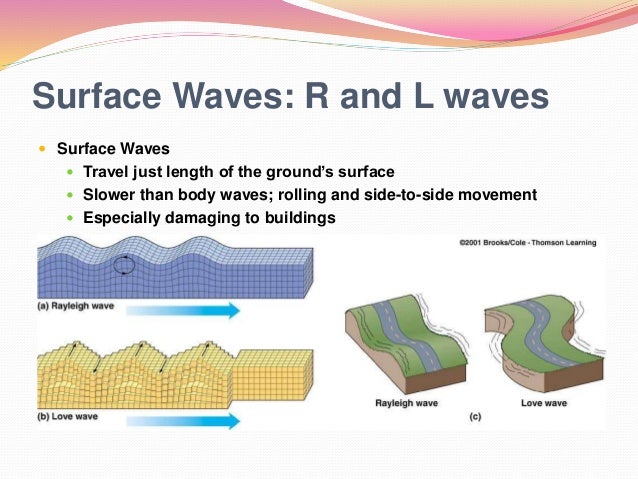 Environmental Hazards