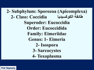 Parasitology PPT - طفيليات PPT | PPSX