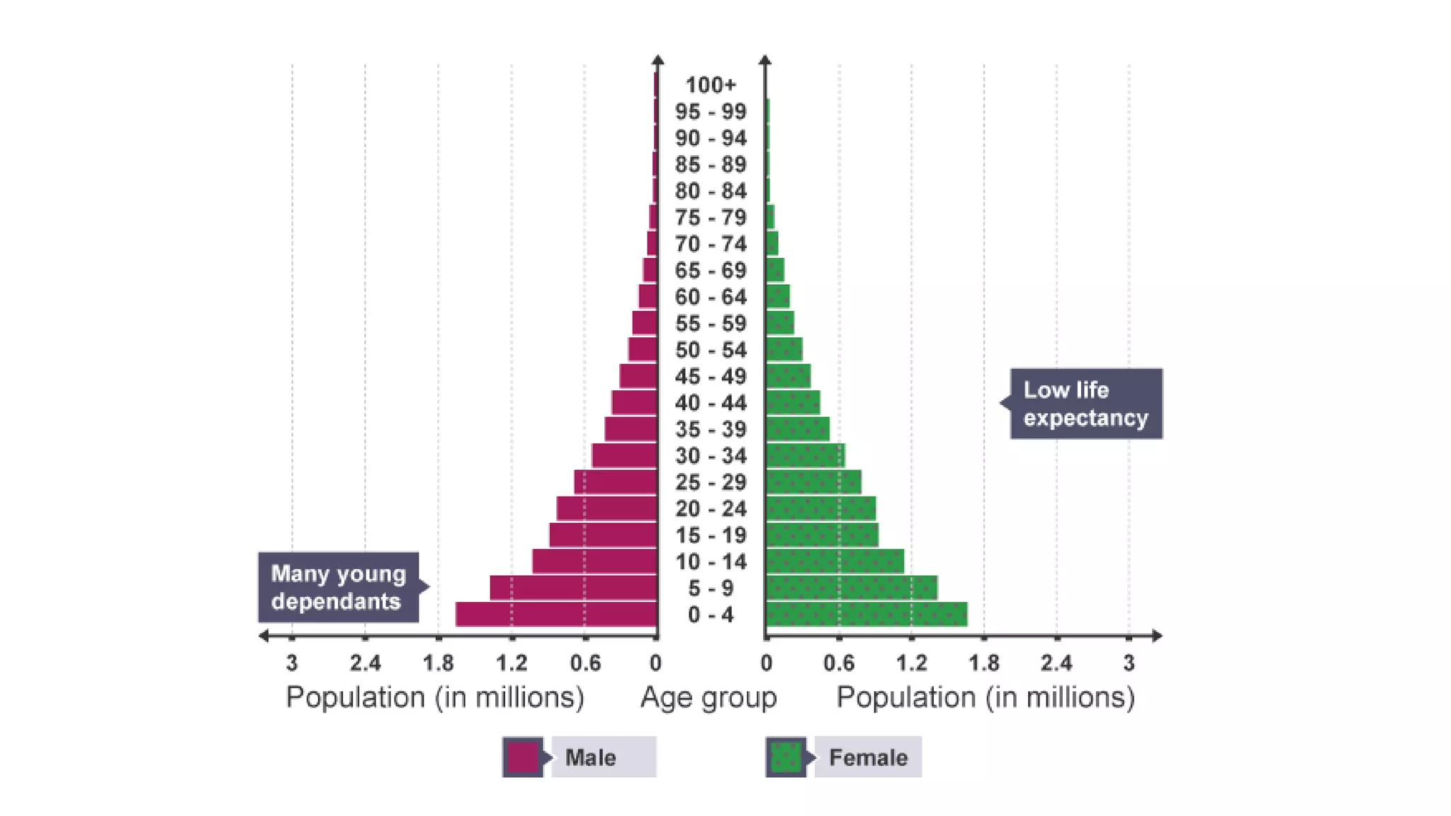 GEOGRAPHY IGCSE: POPULATION STRUCTURE | PPTX
