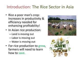 Regional Rice Initiative: Updates, Results to Date & Future Planned ...