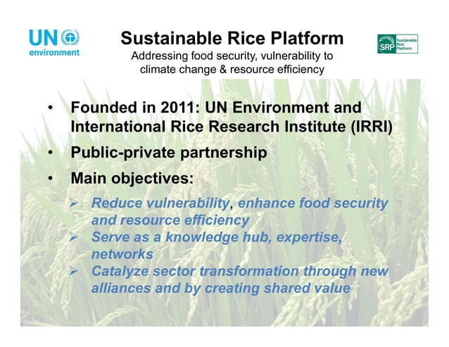 Transforming Rice Value Chains: The Sustainable Rice Platform (SRP) | PDF