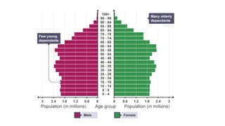 GEOGRAPHY IGCSE: POPULATION STRUCTURE | PPTX