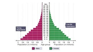 GEOGRAPHY IGCSE: POPULATION STRUCTURE | PPTX