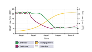 GEOGRAPHY IGCSE: POPULATION STRUCTURE | PPTX
