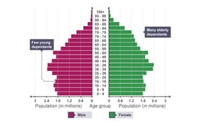 GEOGRAPHY IGCSE: POPULATION STRUCTURE | PPTX