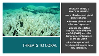 A2 CAMBRIDGE GEOGRAPHY: COASTAL ENVIRONMENTS - CORAL REEFS | PPTX