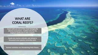 A2 CAMBRIDGE GEOGRAPHY: COASTAL ENVIRONMENTS - CORAL REEFS | PPTX