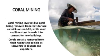 A2 CAMBRIDGE GEOGRAPHY: COASTAL ENVIRONMENTS - CORAL REEFS | PPTX