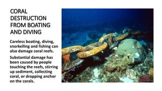 A2 CAMBRIDGE GEOGRAPHY: COASTAL ENVIRONMENTS - CORAL REEFS | PPTX