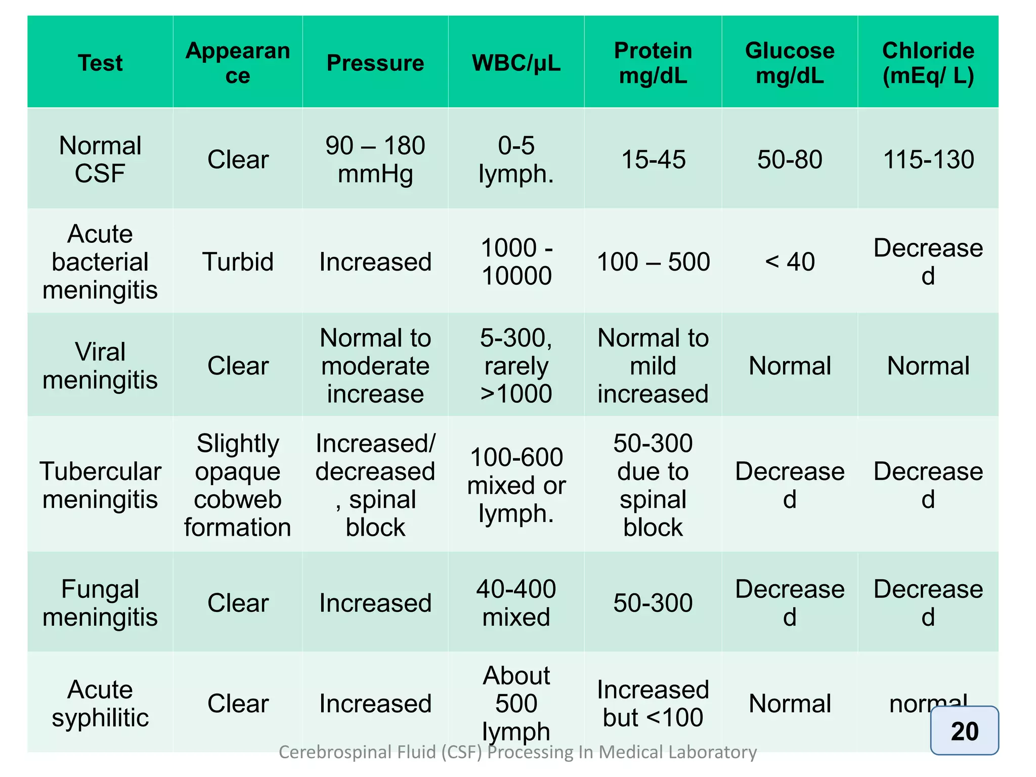 CSF MICROBIOLOGICAL EXAMINATION – II | PDF