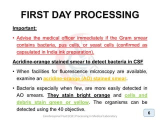 CSF MICROBIOLOGICAL EXAMINATION – II | PDF
