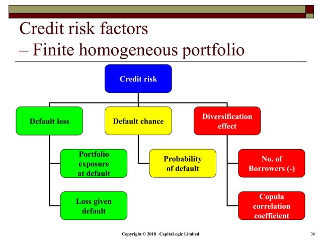 03.2 homogeneous debt portfolios | PPT