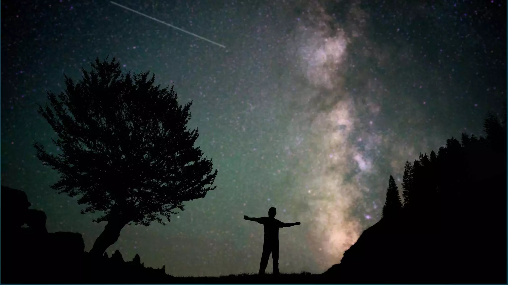 The Human Person as an Embodied Spirit: Limitations and Transcendence | PDF