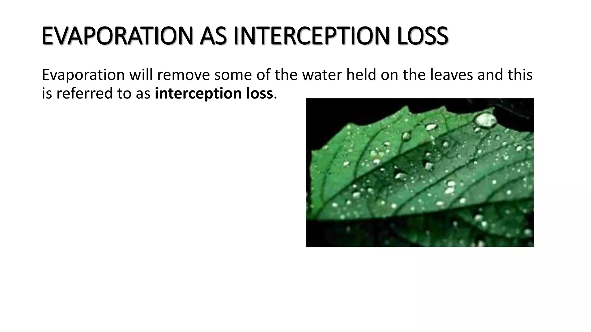 BRIEF REVISION - HYDROLOGY - 03. INTERCEPTION | PPTX