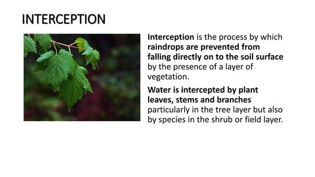 BRIEF REVISION - HYDROLOGY - 03. INTERCEPTION | PPTX | Gardening | Home ...