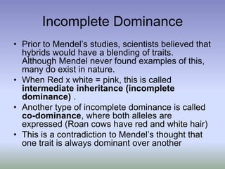 03. multiple alleles | PPT
