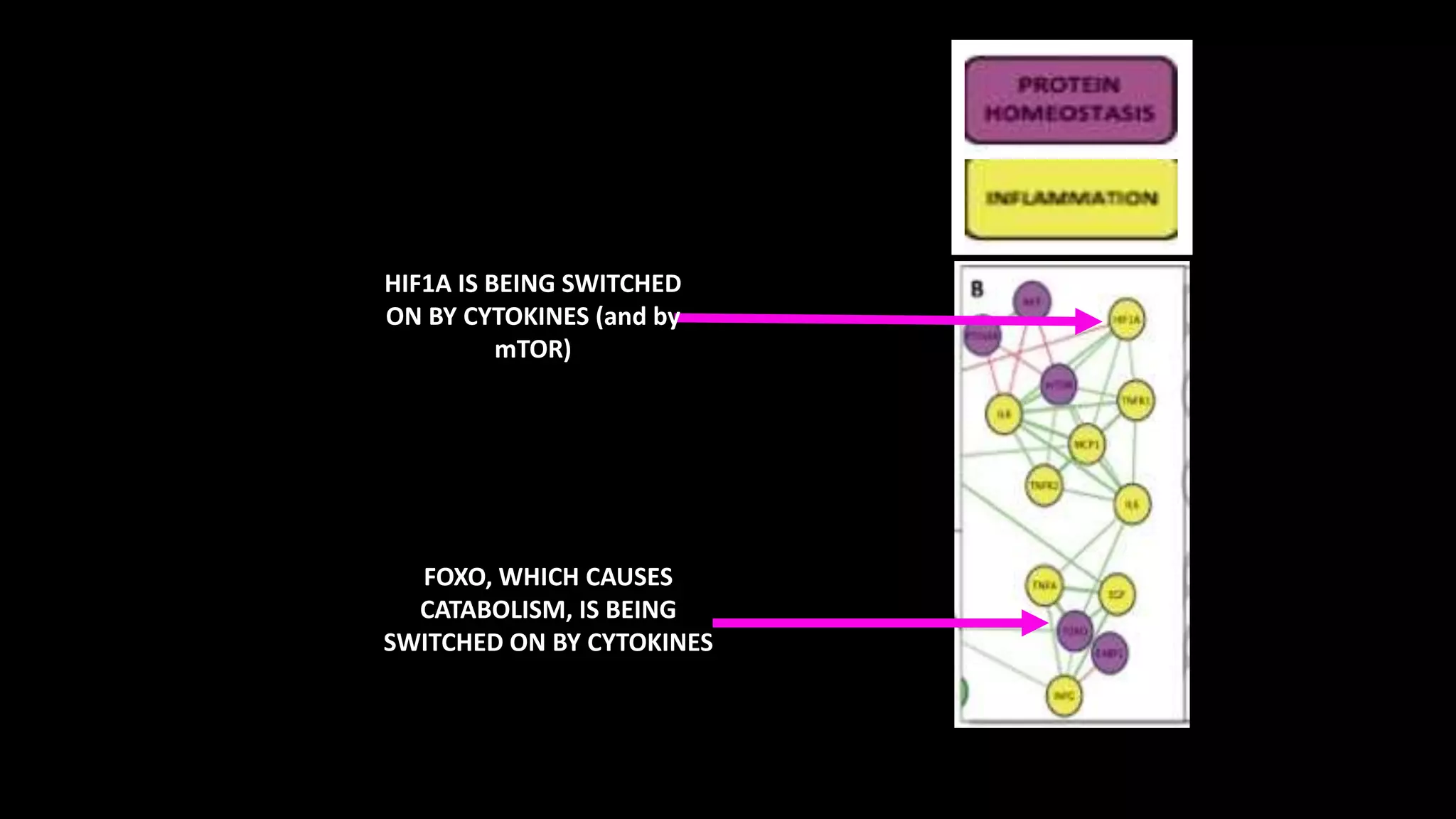 Muscle wasting in ICU: Fat, Feed and Futility | PPTX