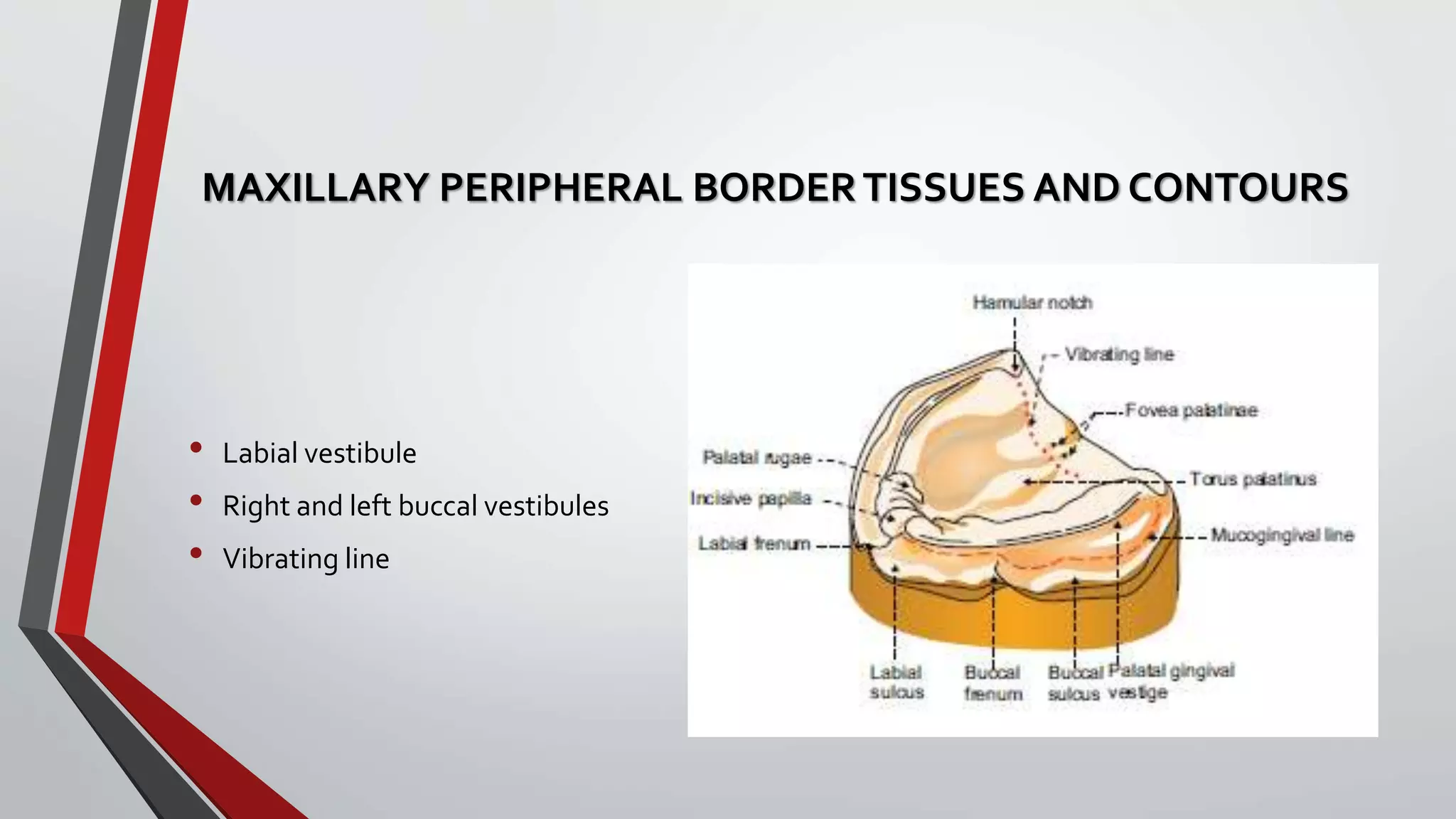 03. denture bearing area and impression techniques | PPTX