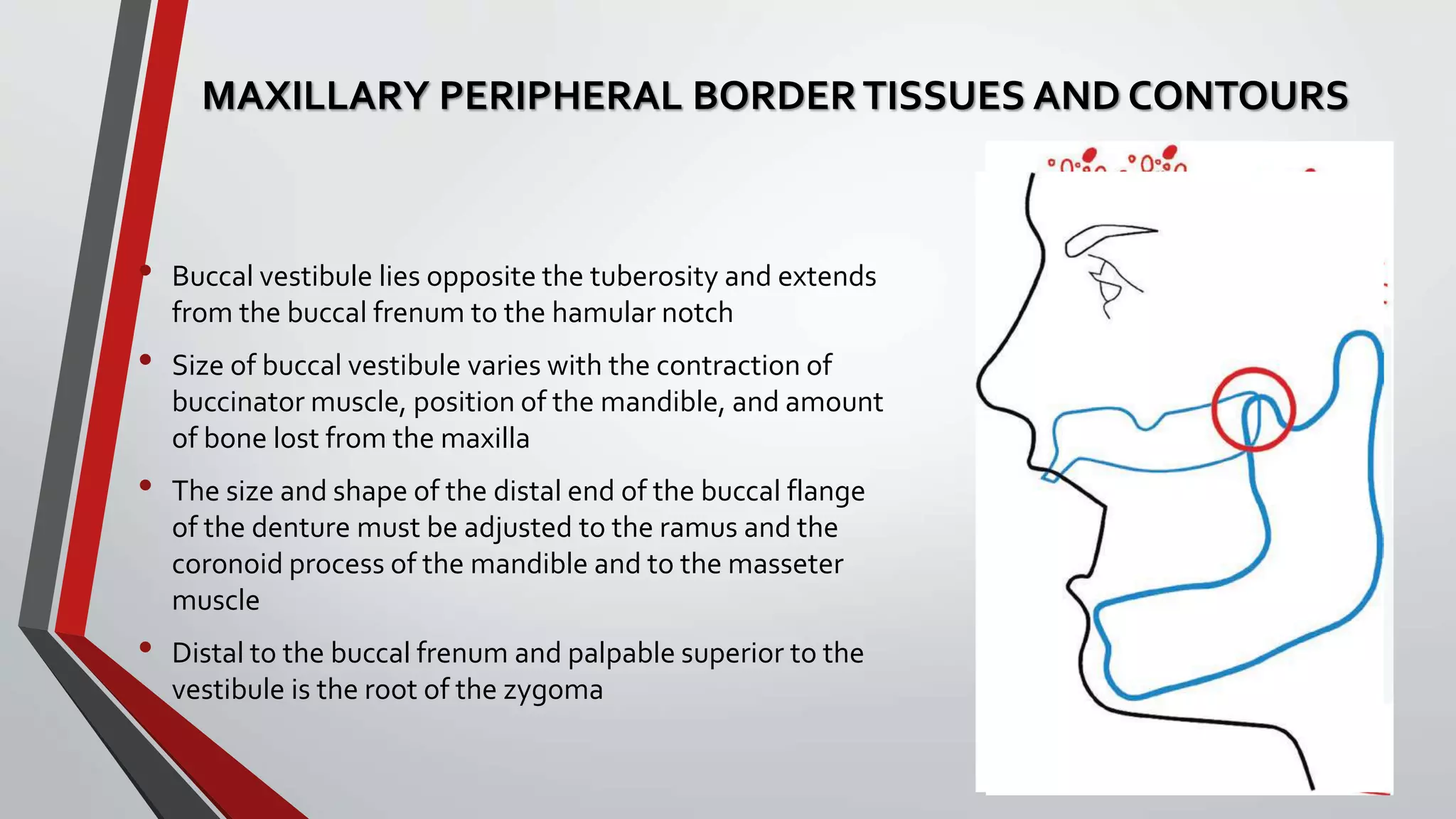03. denture bearing area and impression techniques | PPTX