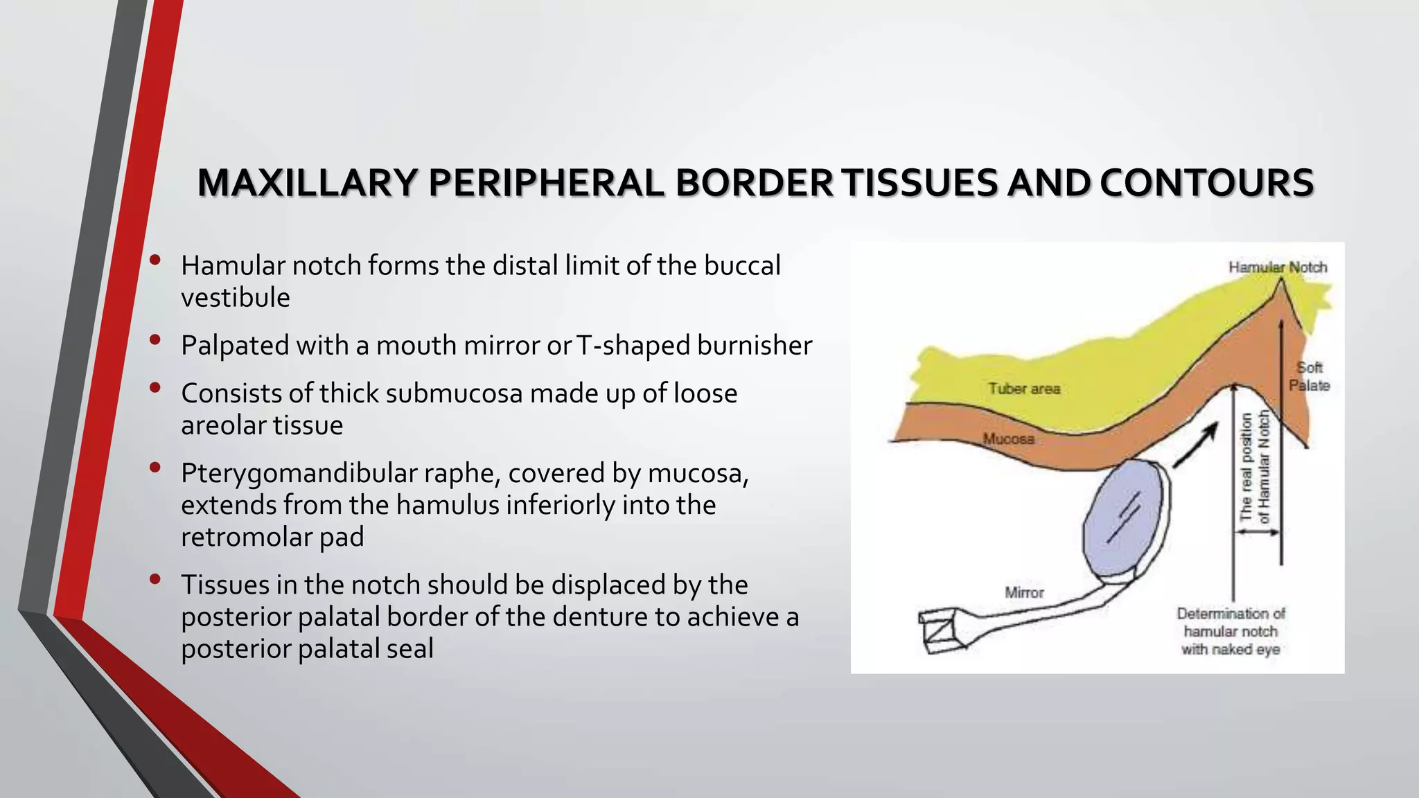 03. denture bearing area and impression techniques | PPTX