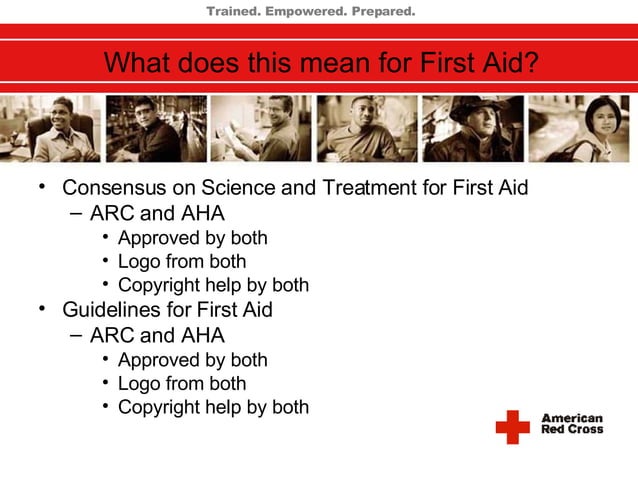 Evidence Based First Aid Guidelines-Report of the US National First Aid ...