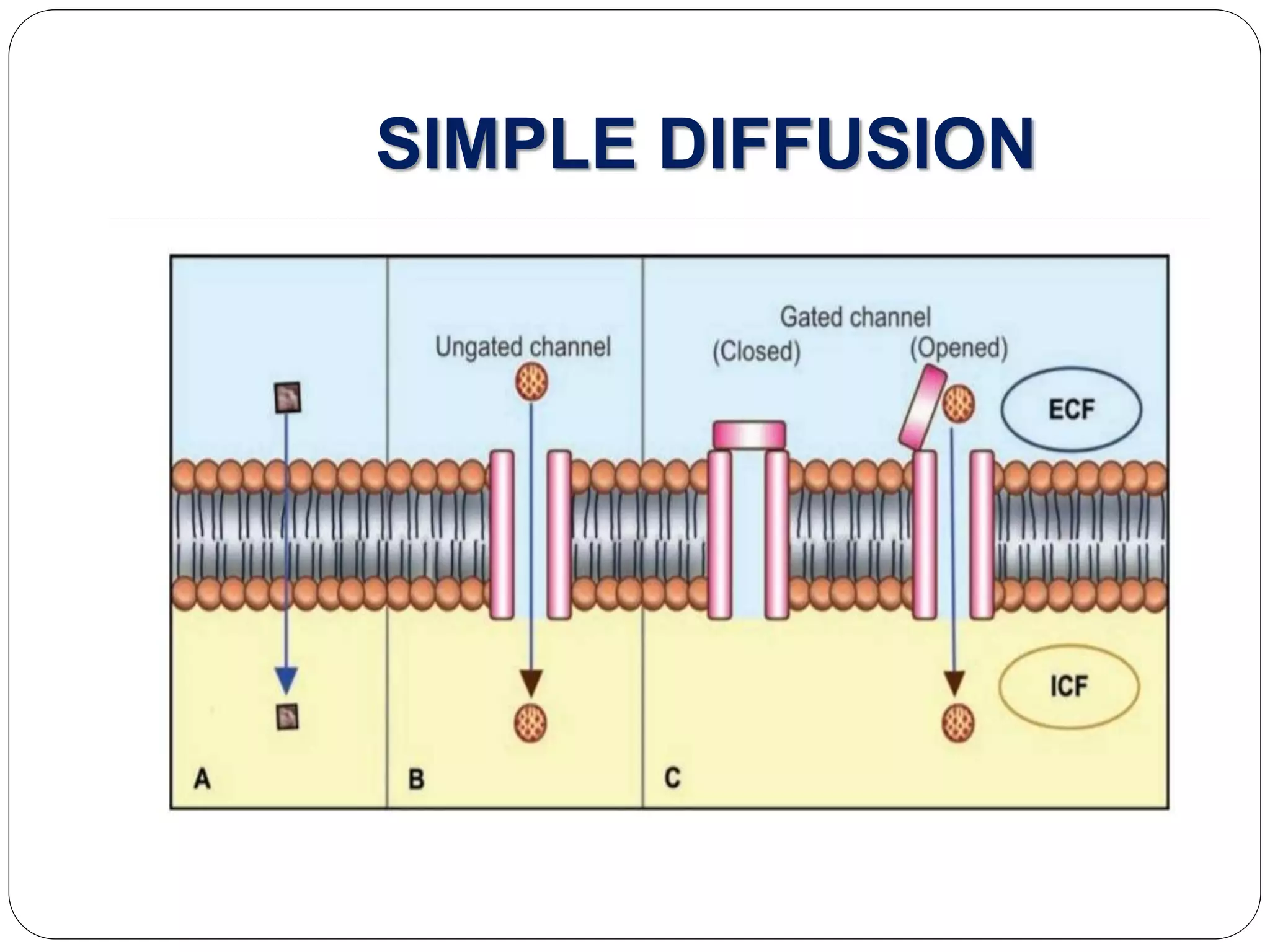 03 Passive Diffusion Adnan Ahmad Khan Pptx