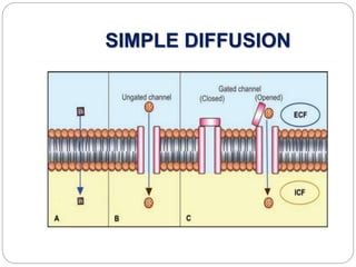 03. PASSIVE DIFFUSION .... Adnan ahmad khan.pptx