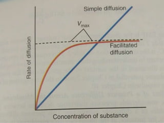 03. PASSIVE DIFFUSION .... Adnan ahmad khan.pptx