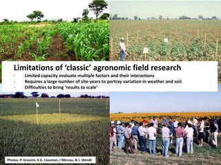 Learning from Farmers Fields to Improve Yield and Profit: a case study ...