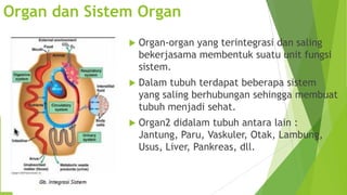 03._Anfis_Tubuh_manusia_.pdf