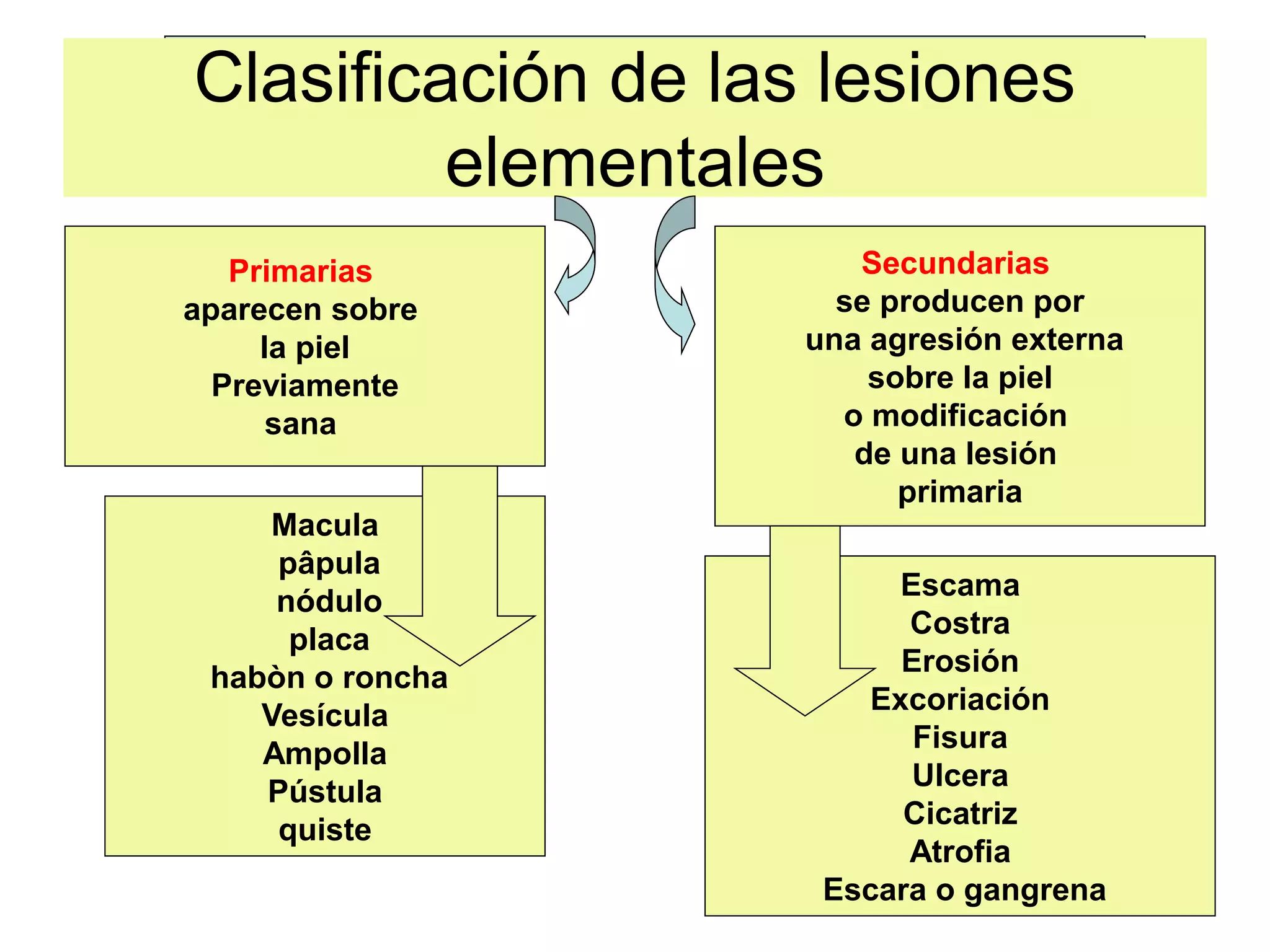 03 Lesiones Elementales Clase Ppt Skin And Dermatology Diseases