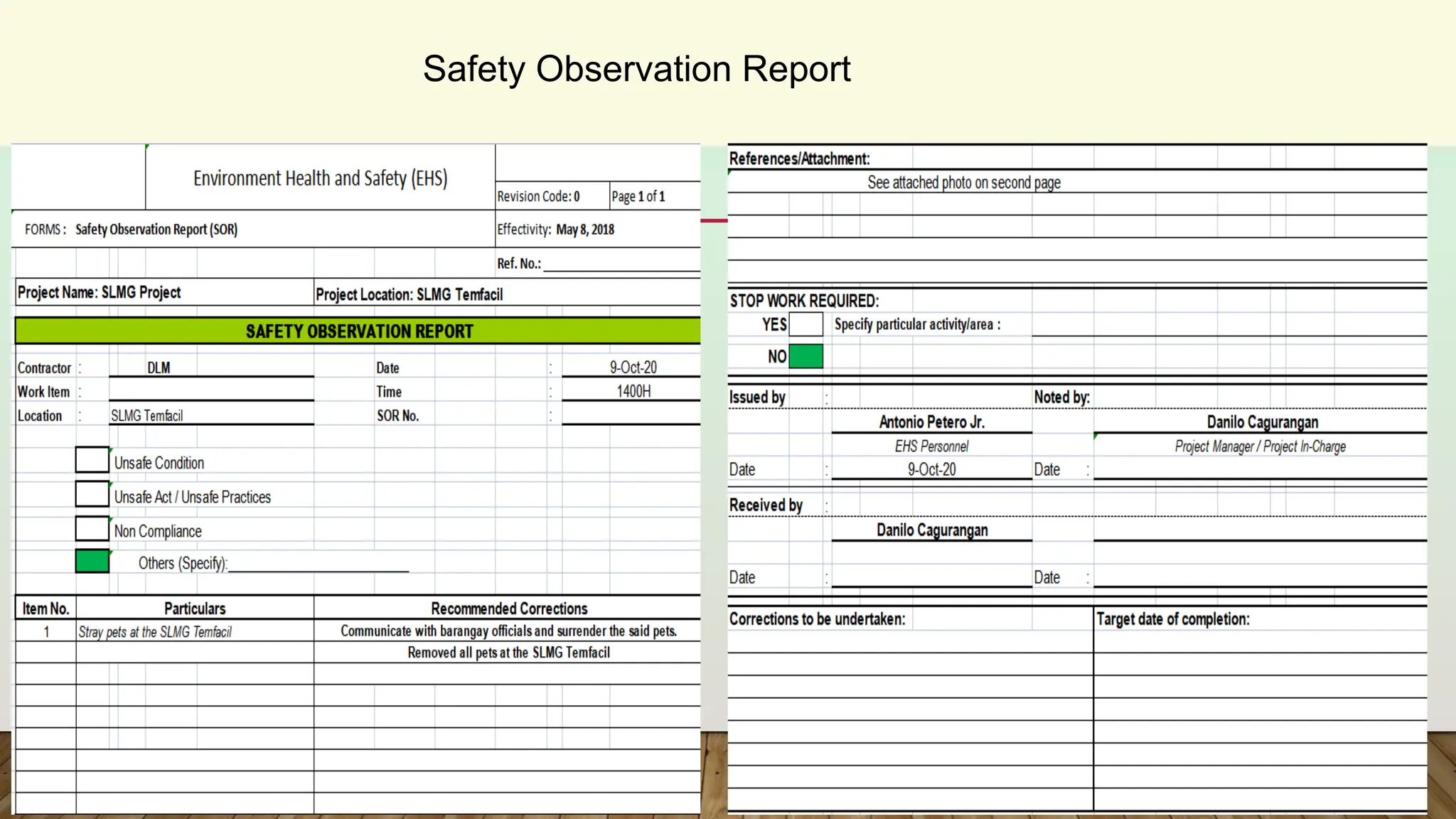 03. Role of Safety Officer.pdf