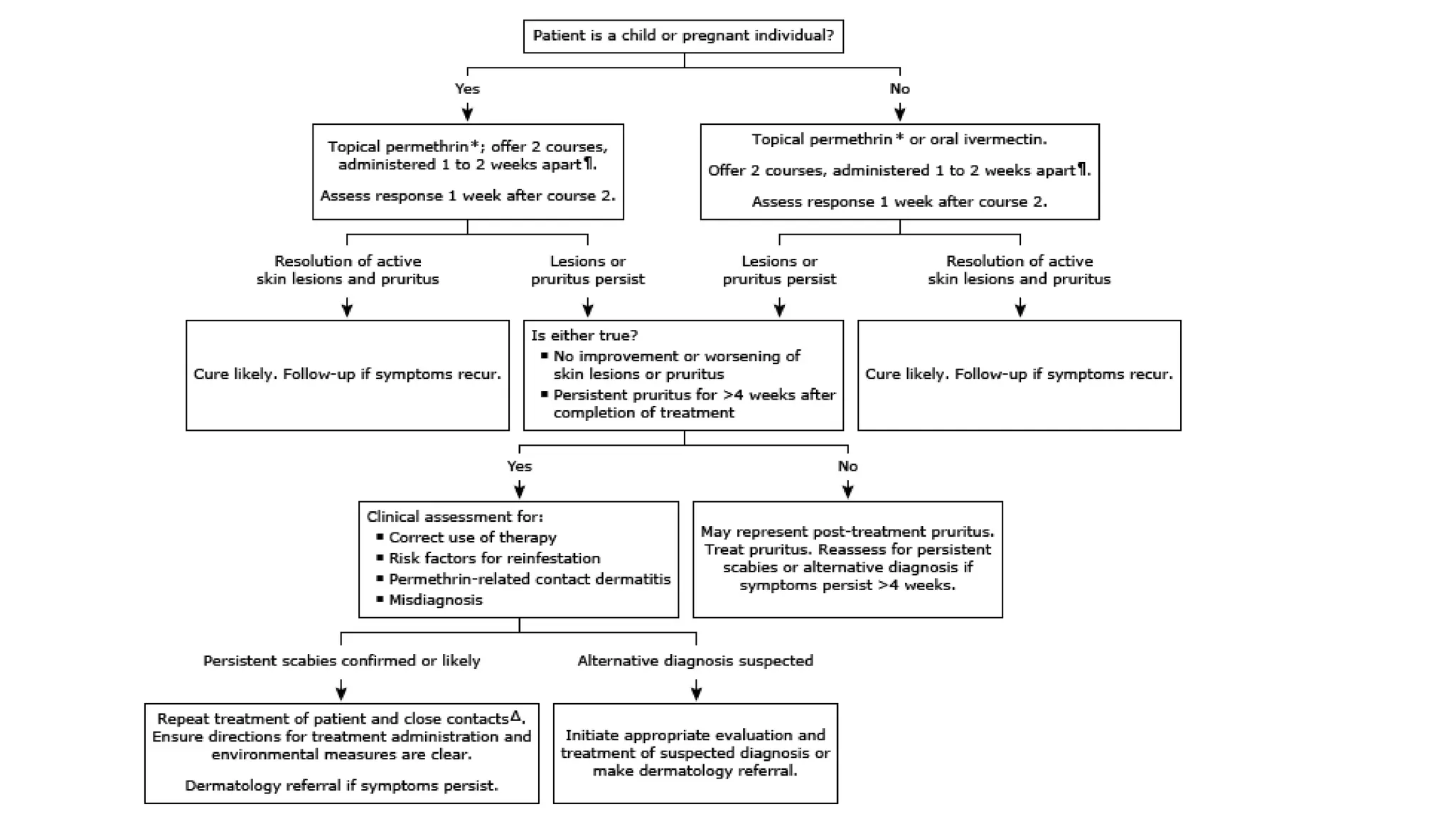 Scabies etiology, transmission, risk factors, clinical variants ...