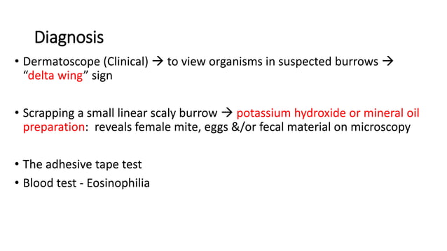 Scabies etiology, transmission, risk factors, clinical variants ...