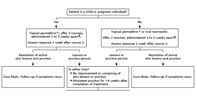 Scabies etiology, transmission, risk factors, clinical variants ...