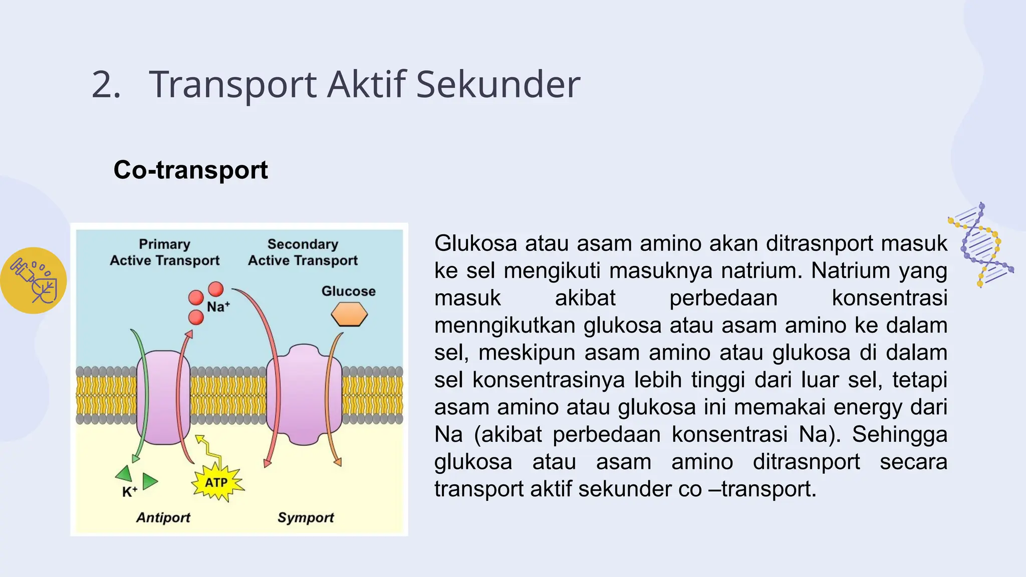 Transport Sel atau transport membran seluler | PPTX