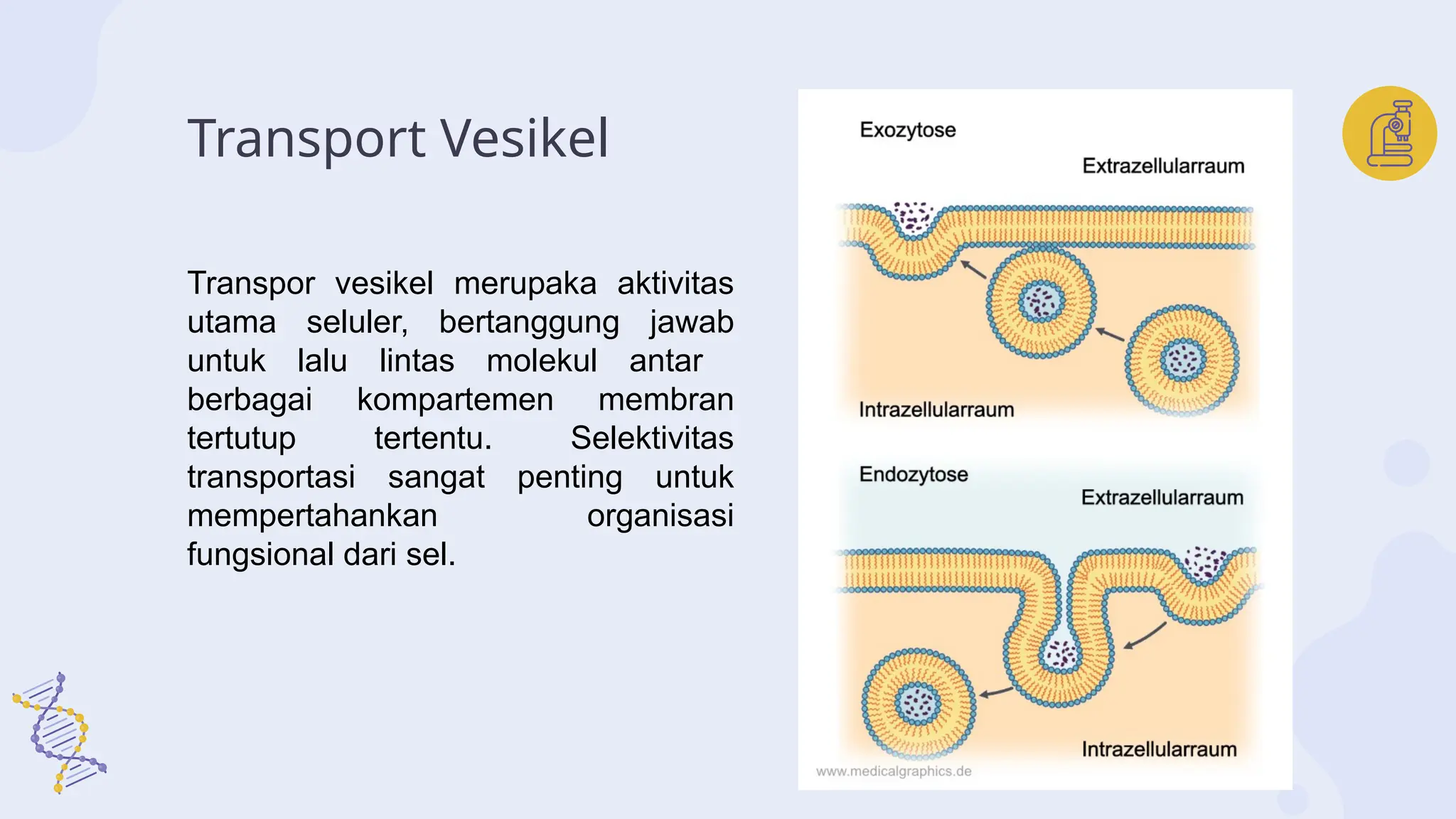 Transport Sel atau transport membran seluler | PPTX
