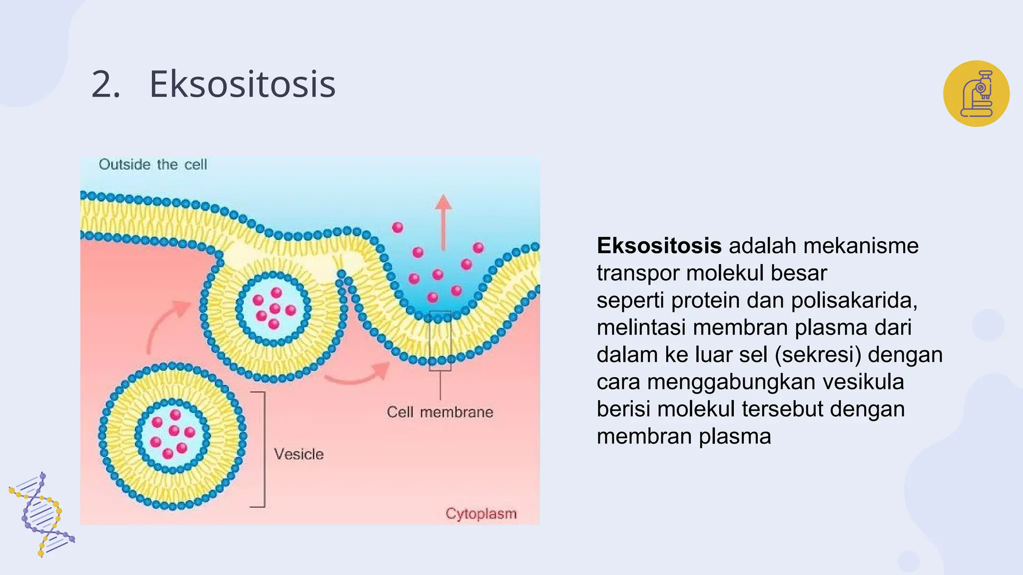 Transport Sel atau transport membran seluler | PPTX