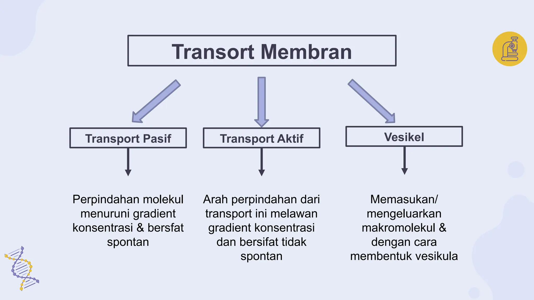 Transport Sel atau transport membran seluler | PPTX